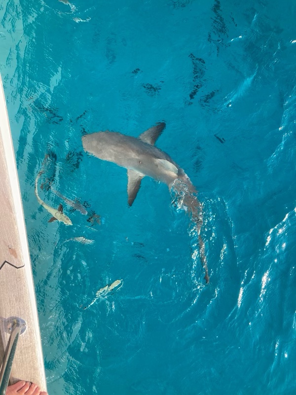 Wonderful welcome at Toau, Tuaomotos – Halls Aboard – Sailing Kathryn ...